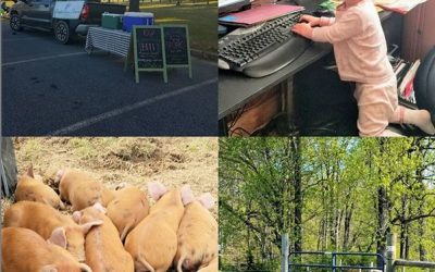 Home - Longbottom Farm