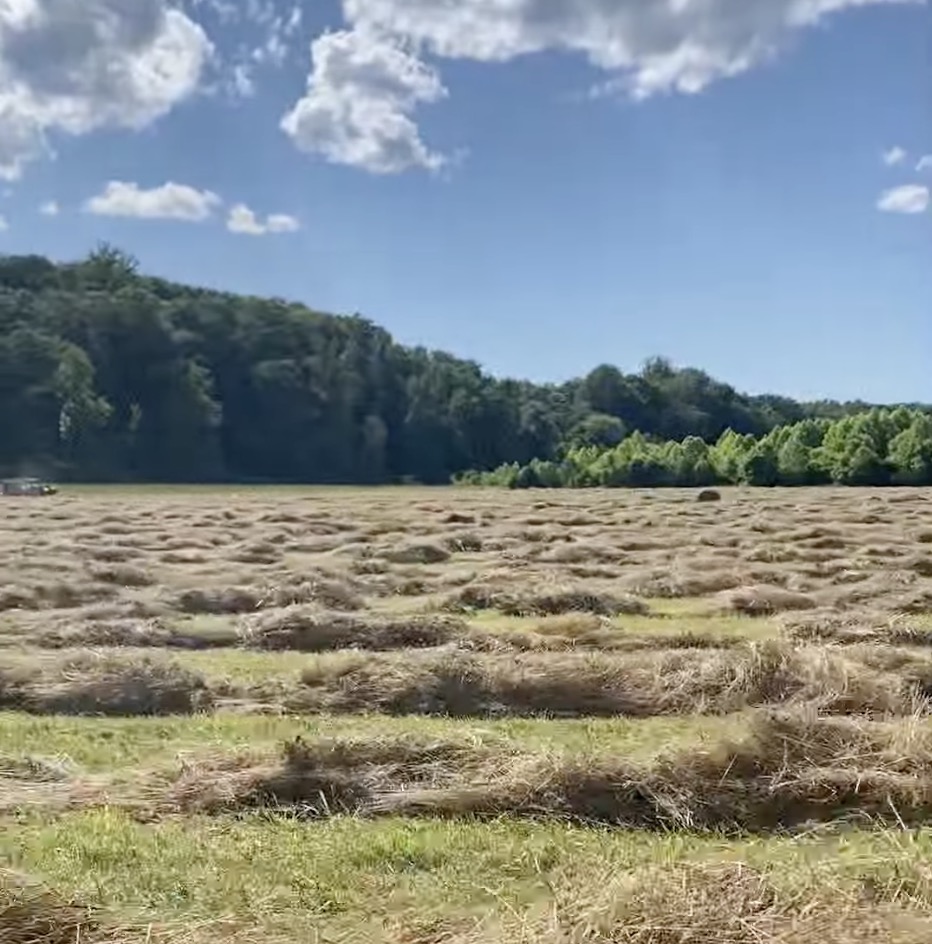 All Work, No HAY!! - Longbottom Farm
