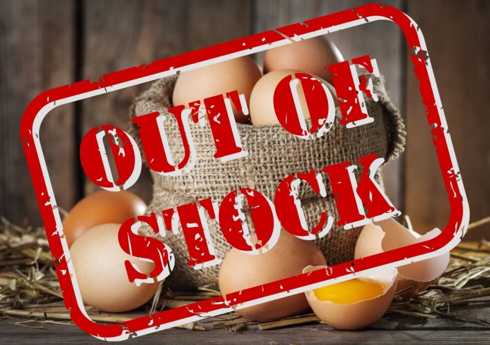 Home - Longbottom Farm